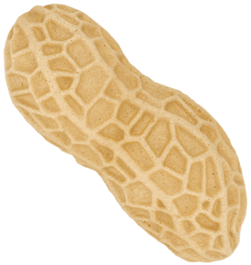 Zing Bars: Wholesome Snack Bars Made with Natural Ingredients